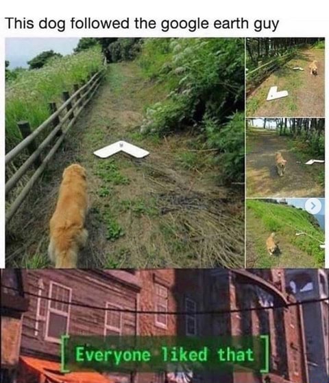 This dog followed the google earth guy Jiked that aa - iFunny
