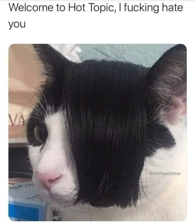Welcome to Hot Topic, I fucking hate you - iFunny