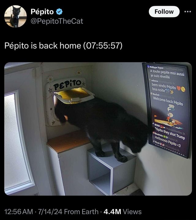 BA Pepito Ppito is back home AM From Earth - 4.4M Views - iFunny