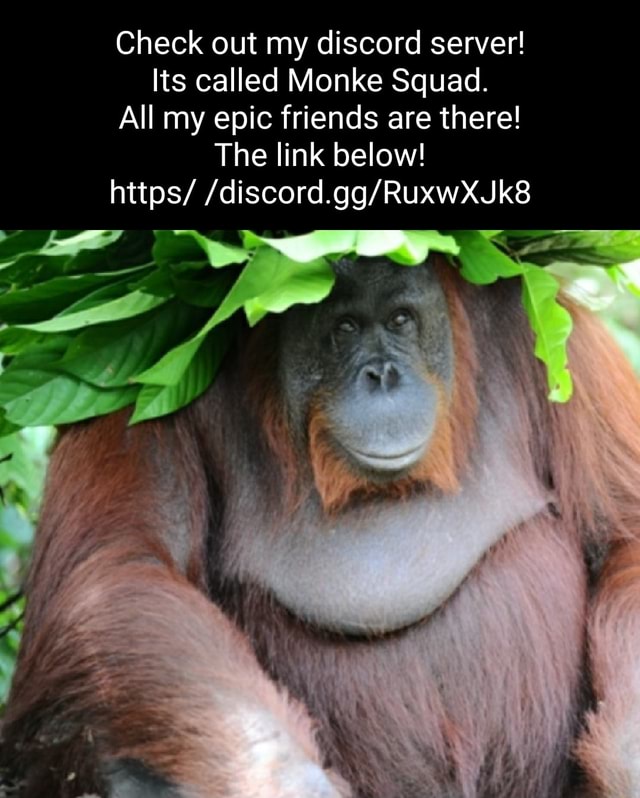 Check out my discord server! Its called Monke Squad. All my epic ...