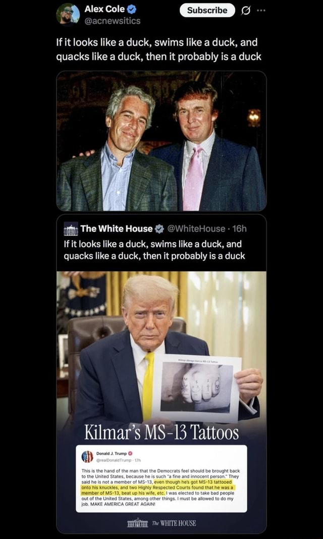 Alex Cole ray If it looks like a duck, swims like a duck, and quacks ...