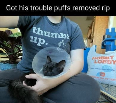 Got his trouble puffs removed rip thus, Up, - iFunny