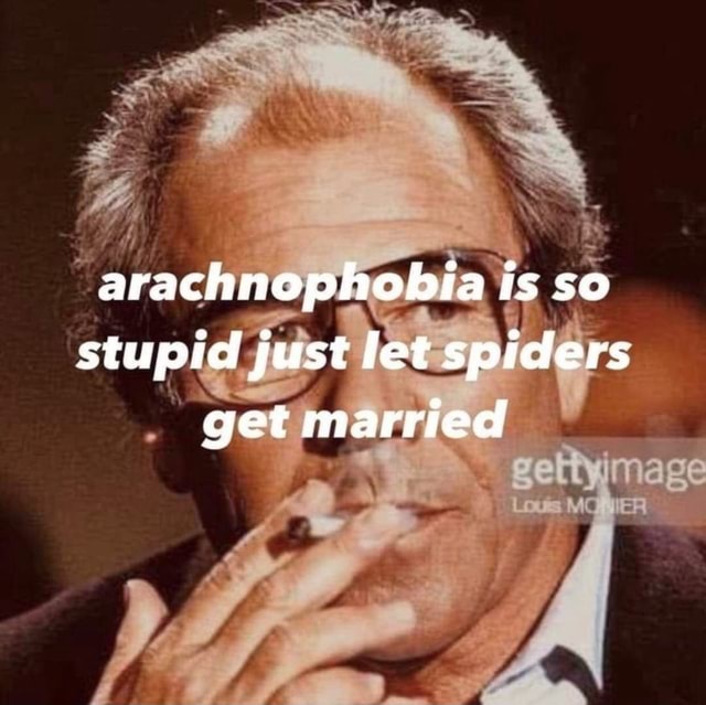 Arachnophobia is so stupid just let spiders get married - iFunny