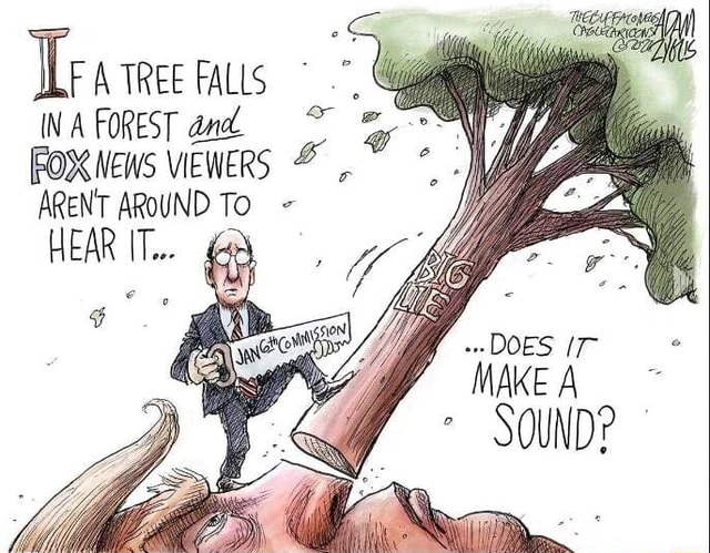 IG A TREE FALLS IN A FOREST and. FOX NEWS VIEWERS , ARENT AROUND To ...