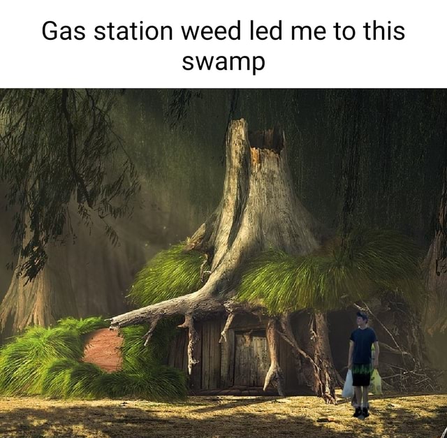 Gas station weed led me to this swamp - iFunny