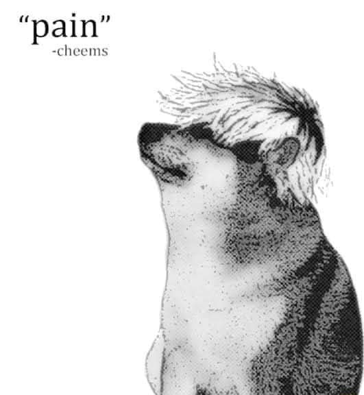 "pain" -cheems - iFunny