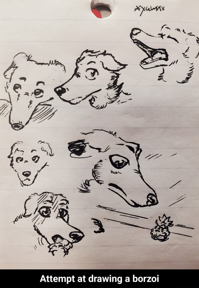 Attempt at drawing a borzoi - Attempt at drawing a borzoi - iFunny Attempt at drawing a borzoi - Attempt at drawing a borzoi - iFunny