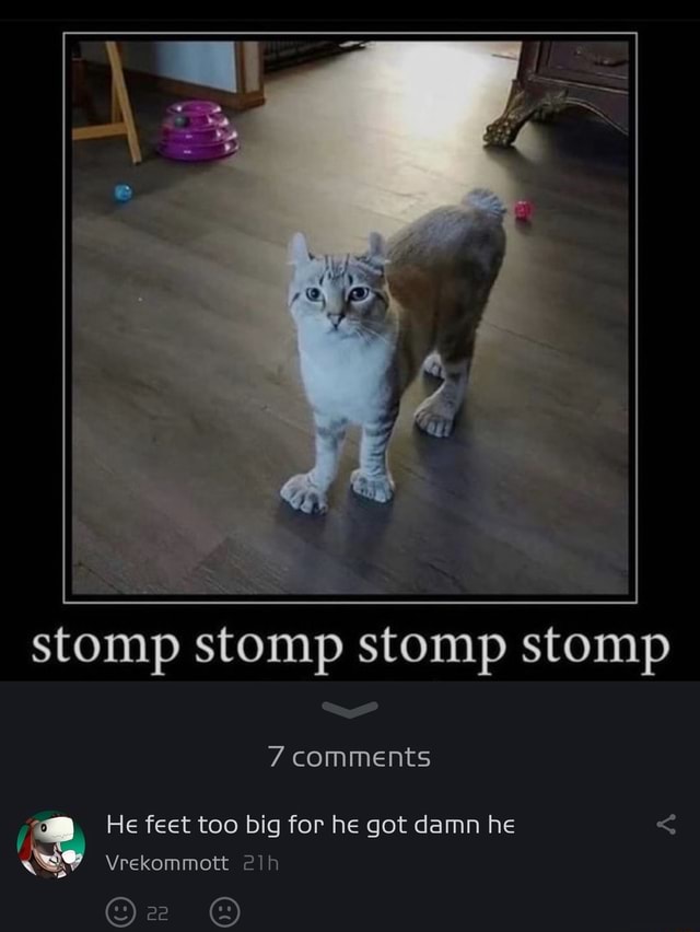 Stomp stomp stomp stomp 7 comments He feet too big for he got damn he ...