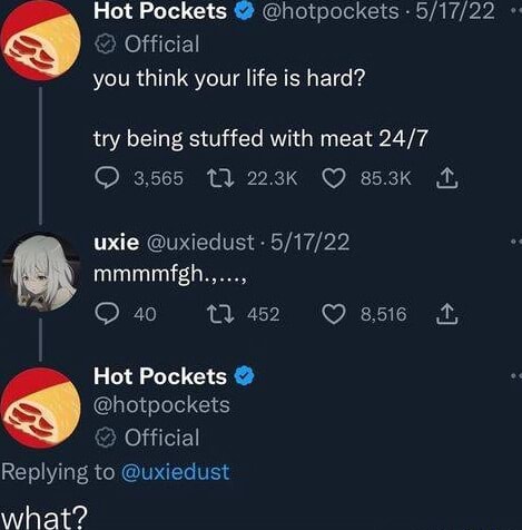 Hot Pockets @hotpockets Official you think your life is hard? try being ...