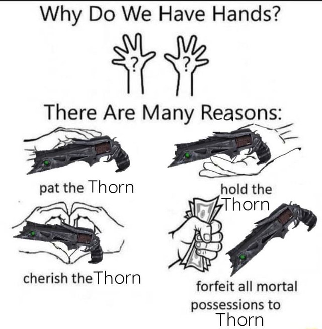 Why Do We Have Hands? There Are Many Reasons pat the Thorn hold the ...