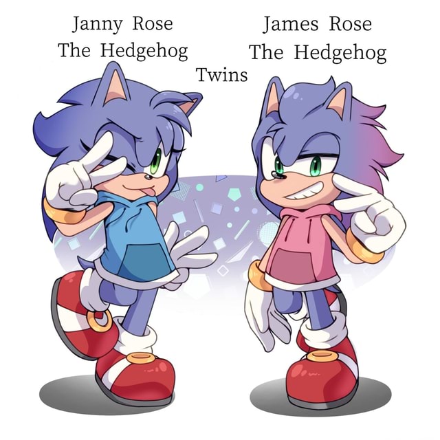Janny Rose James Rose The Hedgehog The Hedgehog Twins - iFunny