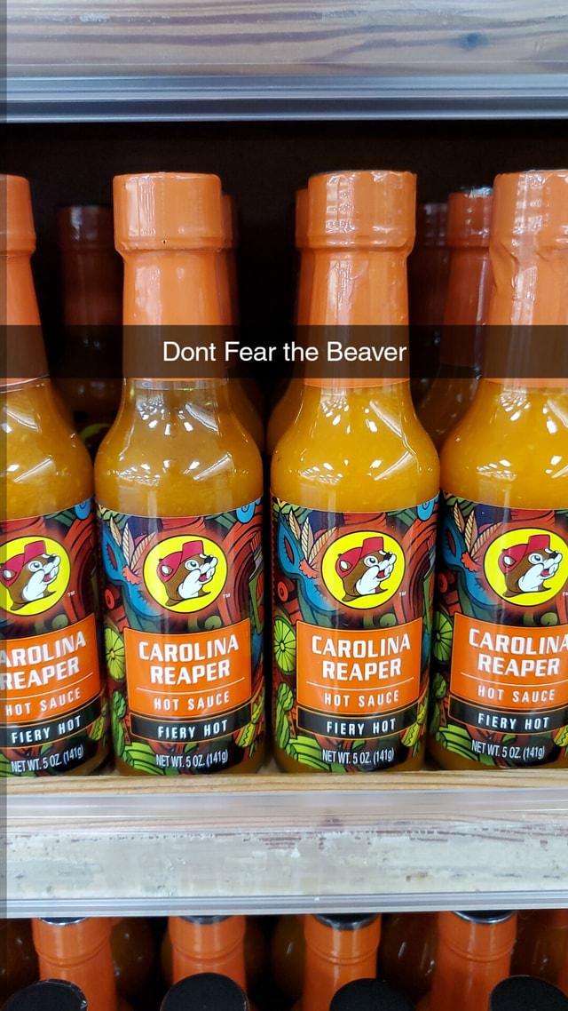 EAr: Dont Fear the Beaver _REAPER HoT CAROLINE REAPER Hor saul - iFunny