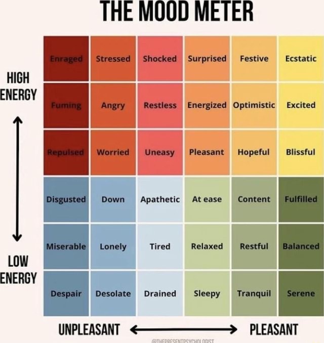 THE MOOD METER Stressed Shocked I Restless Surprised Festive Ecstatic ...