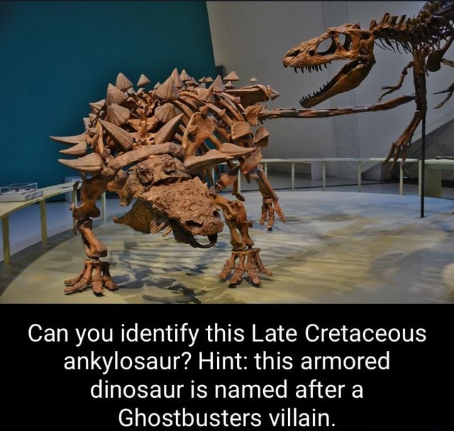 Can you identify this Late Cretaceous ankylosaur? Hint: this armored dinosaur is named after a ...