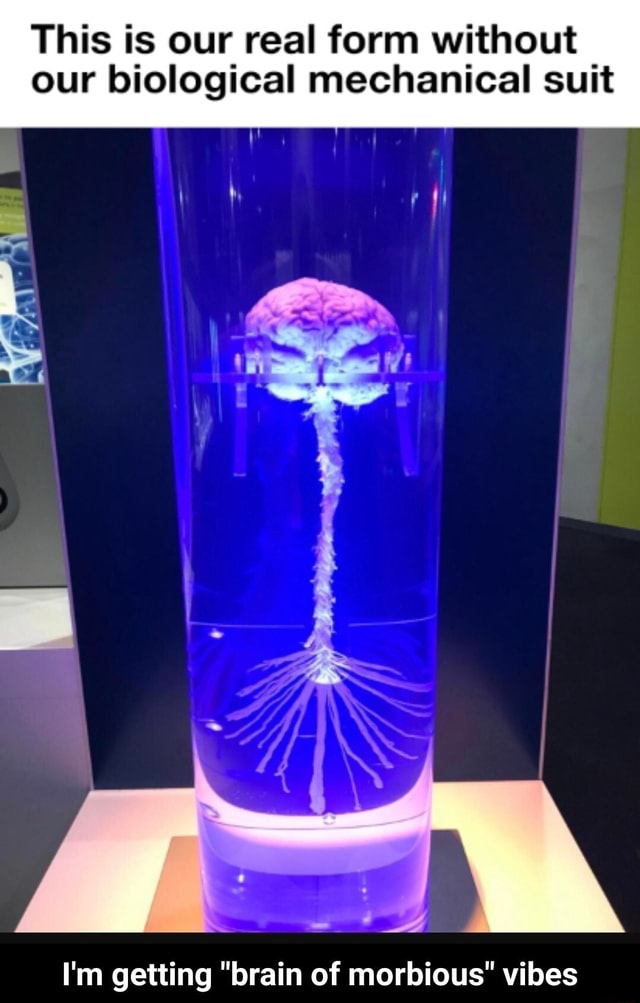 This is our real form without our biological mechanical suit I'm ...