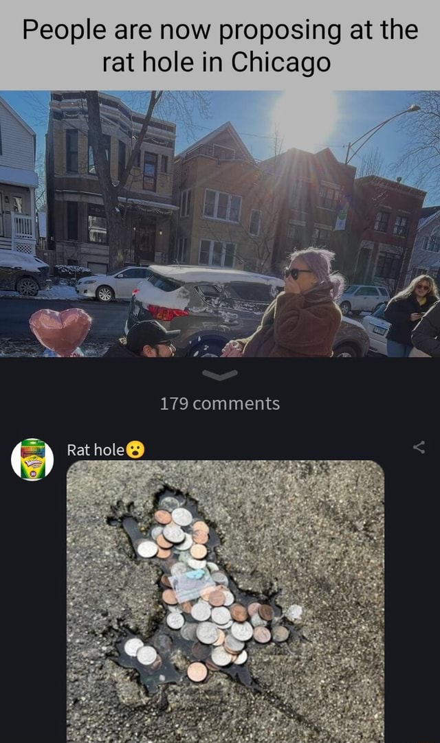 People are now proposing at the rat hole in Chicago 179 comments - iFunny
