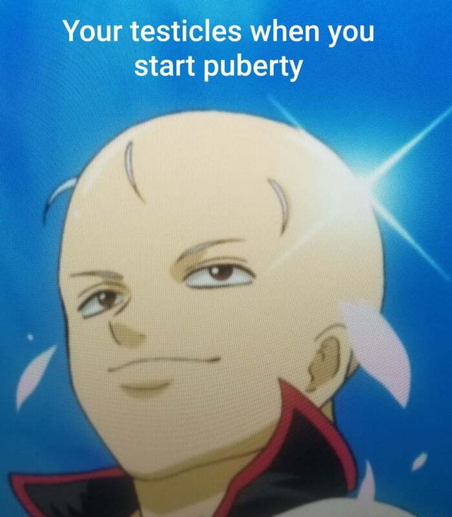 Your testicles when you start puberty - iFunny