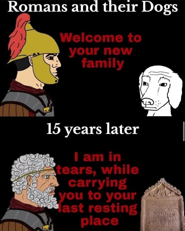 Romans and their Dogs 15 years later - iFunny