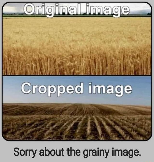 Original Cropped image Sorry about the grainy image. - iFunny