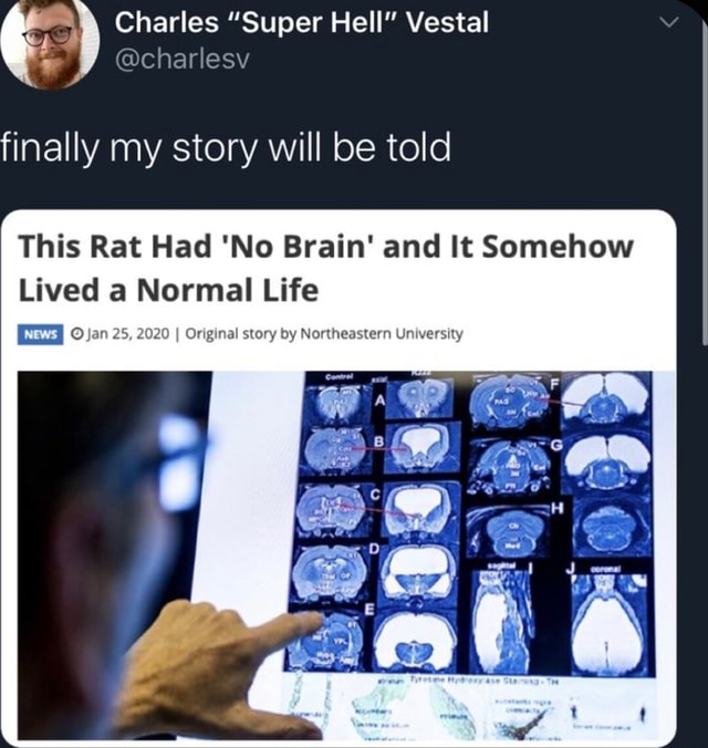 Charles "Super Hell" Vestal finally my story will be told This Rat Had ...