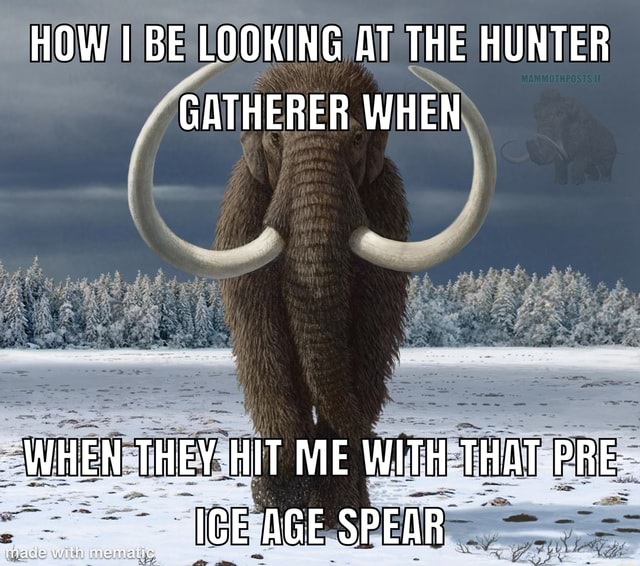 HOW I BE LOOKING AT THE HUNTER GATHERER WHEN WHEN THEY HIT ME WITH THAT ...