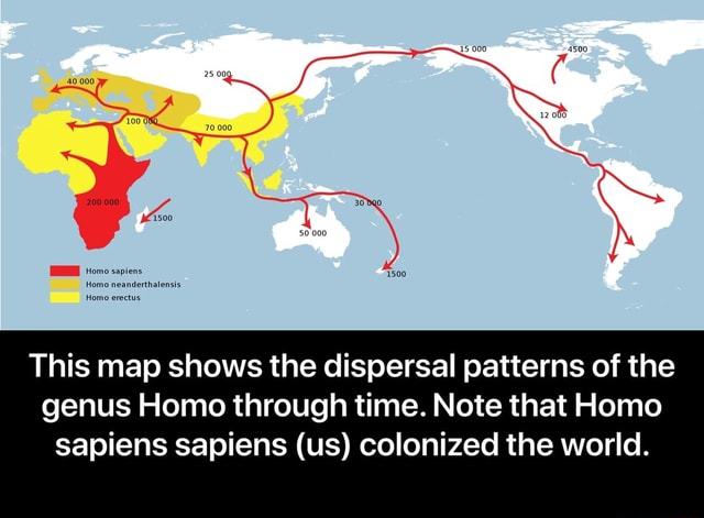 This map shows the dispersal patterns of the genus Homo through time ...