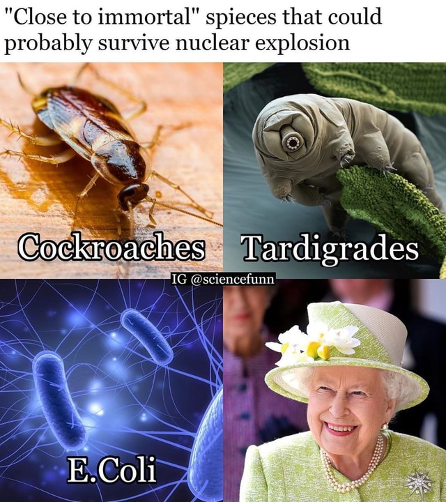 "Close to immortal" spieces that could probably survive nuclear ...