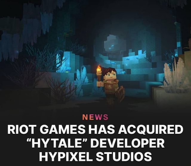 NEW RIOT GAMES HAS ACQUIRED "HY TALE" DEVELOPER HYPIXEL STUDIOS - iFunny
