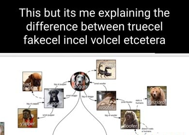 This but its me explaining the difference between truecel fakecel incel ...