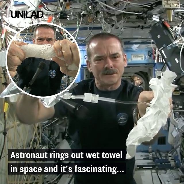Astronaut rings out wet towel in space and it's fascinating... Lin ...