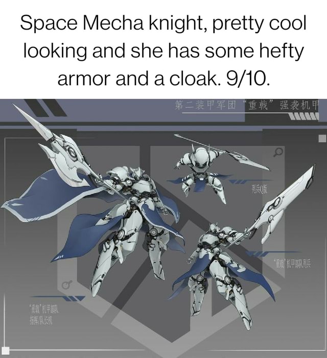 Space Mecha knight, pretty cool looking and she has some hefty armor ...
