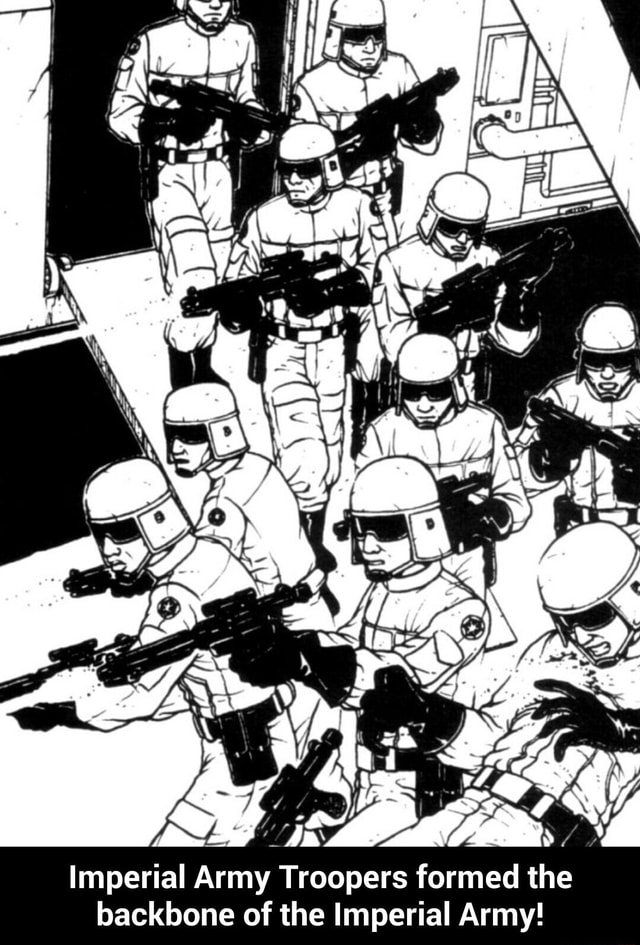 Imperial Army Troopers formed the backbone of the Imperial Army ...