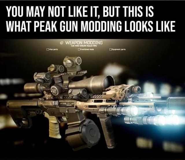 YOU MAY NOT LIKE IT, BUT THIS IS WHAT PEAK GUN MODDING LOOKS LIKE - iFunny