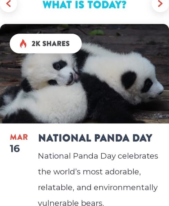 IS SHARES MAR 16 NATIONAL PANDA DAY National Panda Day celebrates the ...
