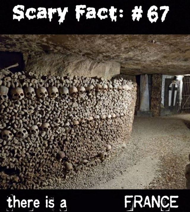 Scary Fact: #67 there is a FRANCE - iFunny