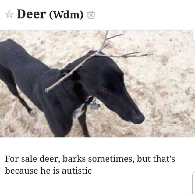 Deer (Wdm) For sale deer, barks sometimes, but that's because he is ...