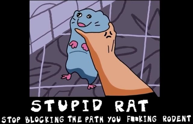 STUPID RAT STOP BLOCKING THE PATH YOU FAKING RODENT - iFunny