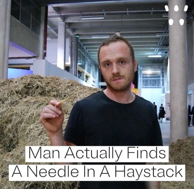 I wt we. . Man Actually Finds A Needle In A Haystack - iFunny