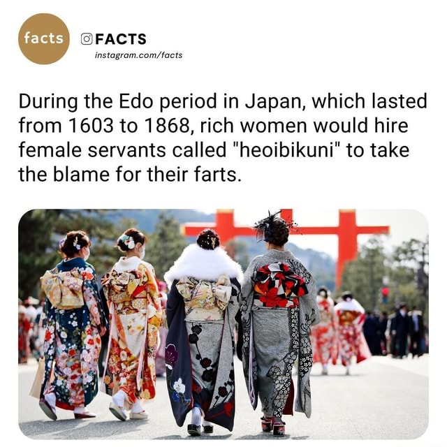 Facts I Facts During The Edo Period In Japan Which Lasted From 1603 To 1868 Rich Women Would