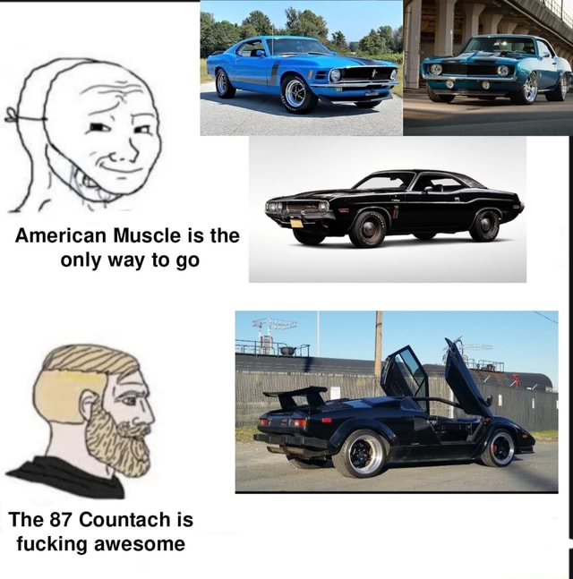 American Muscle is the only way to go The 87 Countach is fucking ...