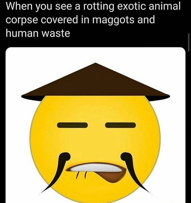 When you see a rotting exotic animal corpse covered in maggots and ...