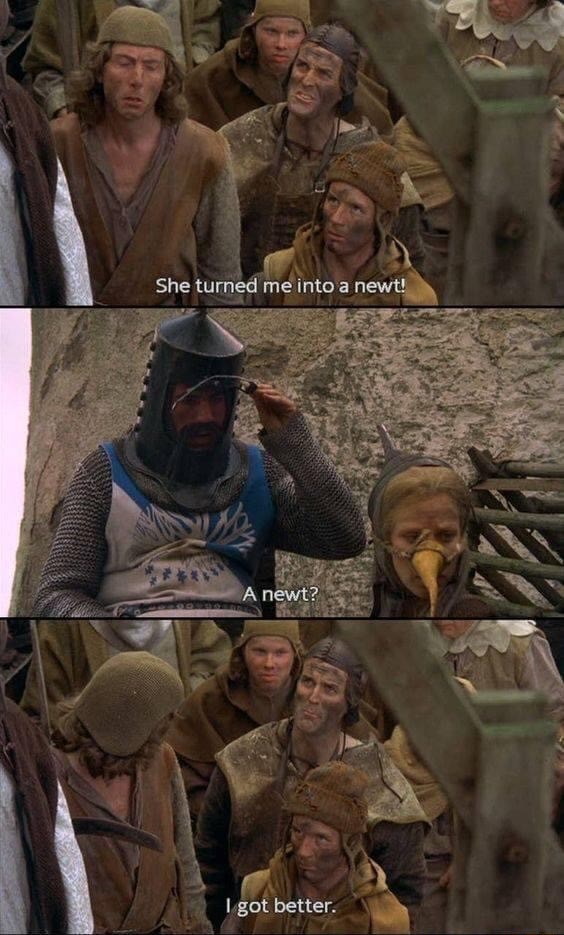 She turned me into newt! - iFunny