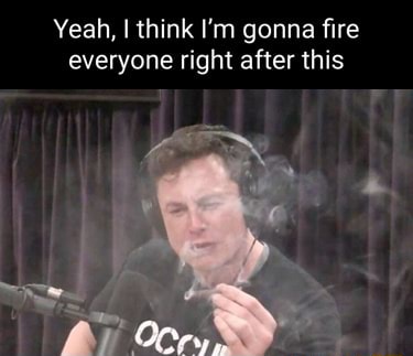 Yeah, I think I'm gonna fire everyone right after this - iFunny