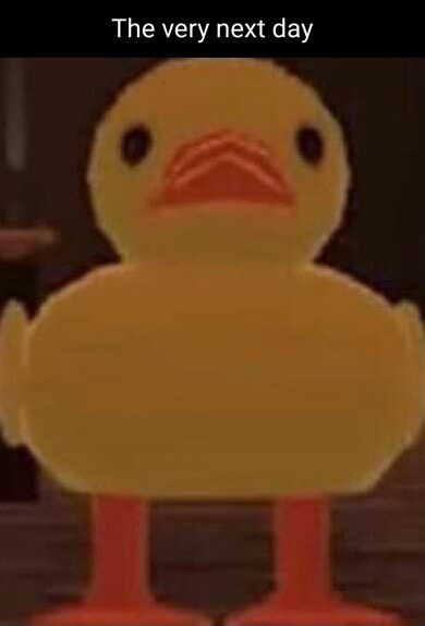 The very next day - iFunny