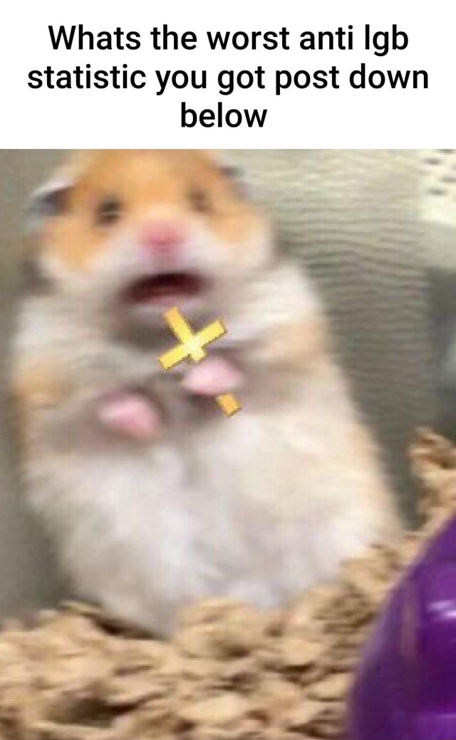 Whats the worst anti Igb statistic you got post down below - iFunny