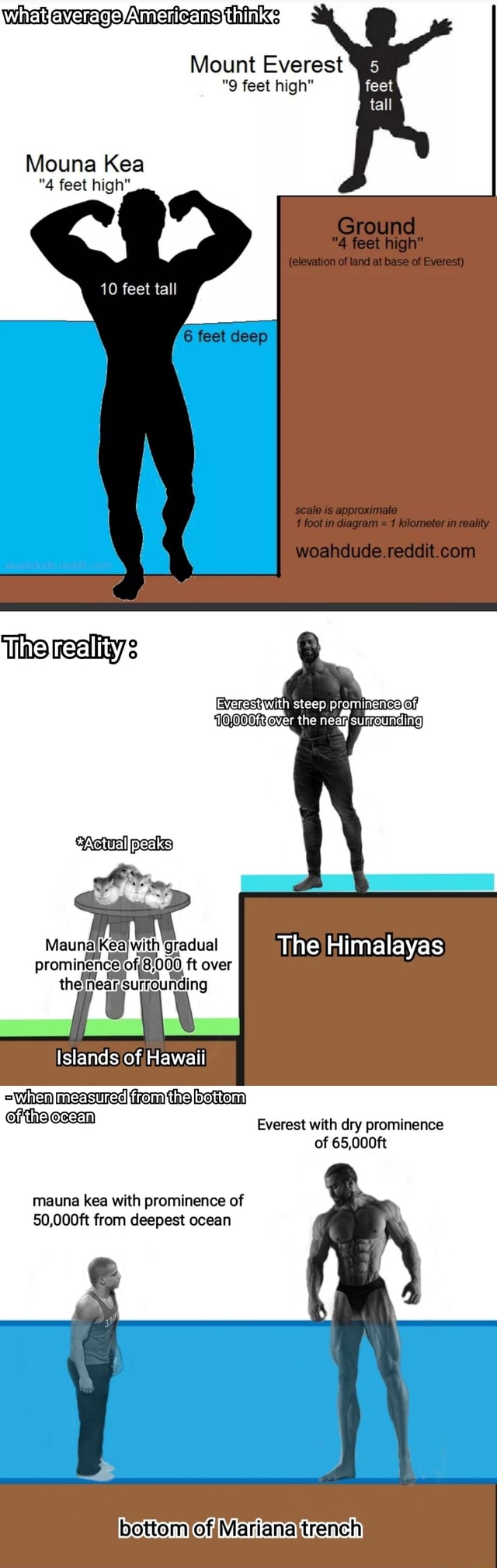 Think Mount Everest "9 feet high" feet tall Mouna Kea "4 feet high ...