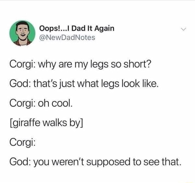 Corgi: why are my legs so short? God: that’s just what legs look like ...