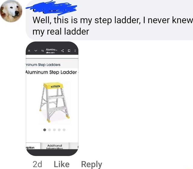 Well, this is my step ladder, I never knew my real ladder minum Step ...