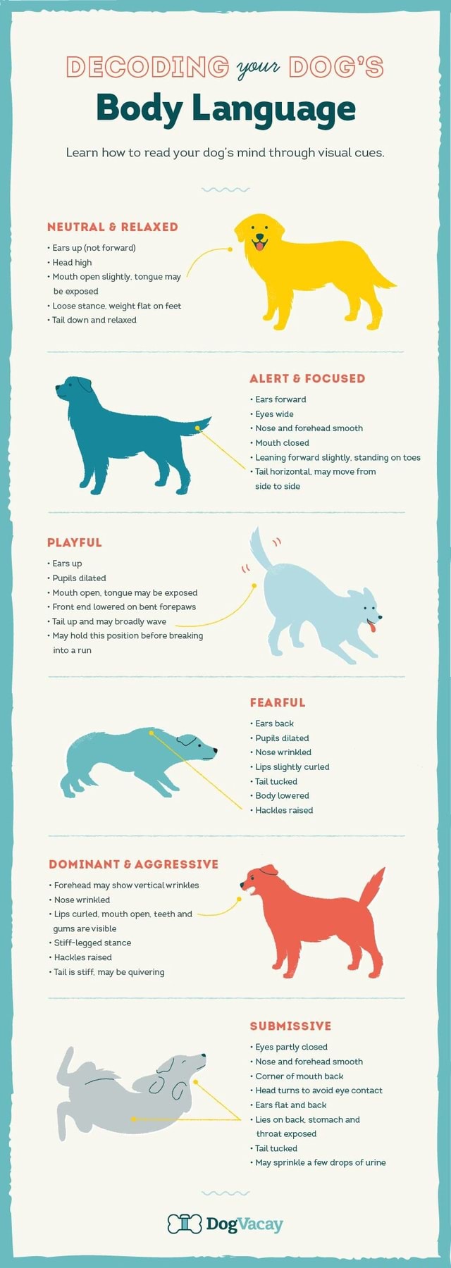 DECODING ~ur DOG'S Body Language Learn how to read your dog's mind ...
