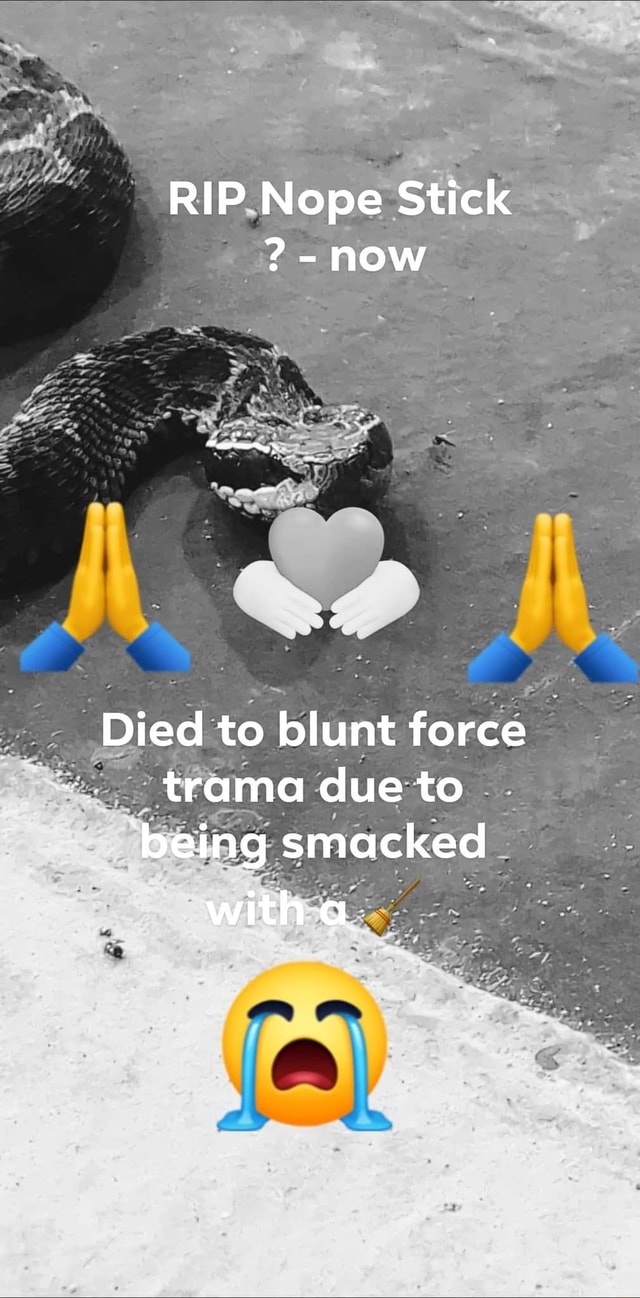 RIP Nope Stick ?-now Died to blunt force trama due to being smacked ...